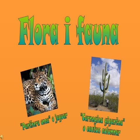 Flora i fauna mèxic | PPT