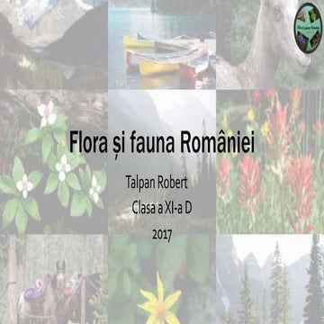 Flora și fauna României | PPTX