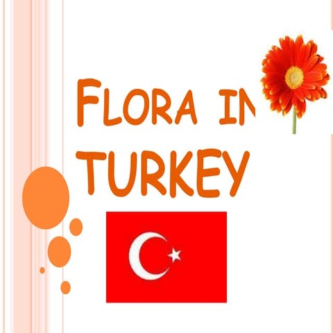 Flora in turkey | PPT