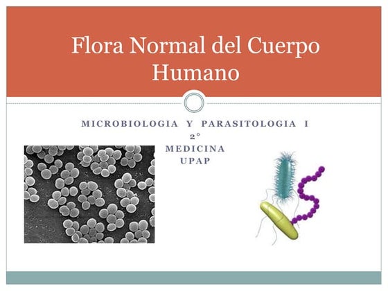 Normal Flora | PPTX