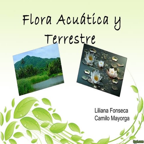 Flora terrestre y acuatica | PPT