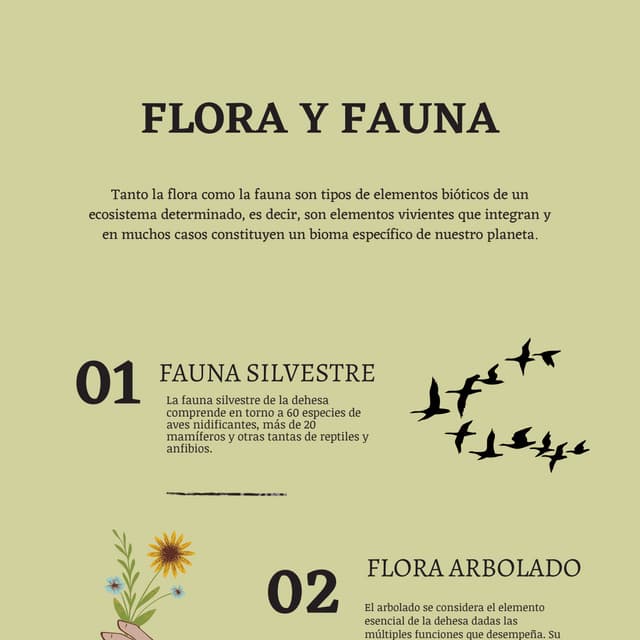 Flora fauna-comunidad | PPTX