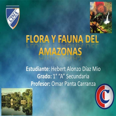 Flora y fauna del amazonas | PPTX