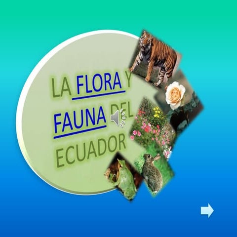 FLORA DEL ECUADOR | PDF