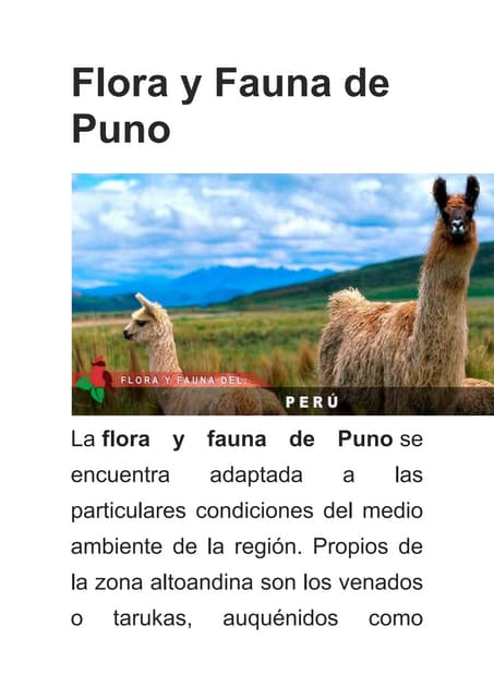 Flora y fauna panameña | PPT