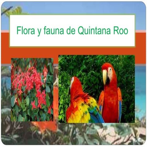 Fauna del estado de Guerrero | PPTX