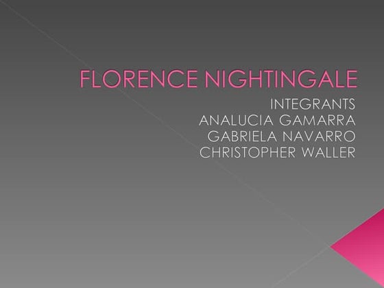 Essay On Florence Nightingale | PDF