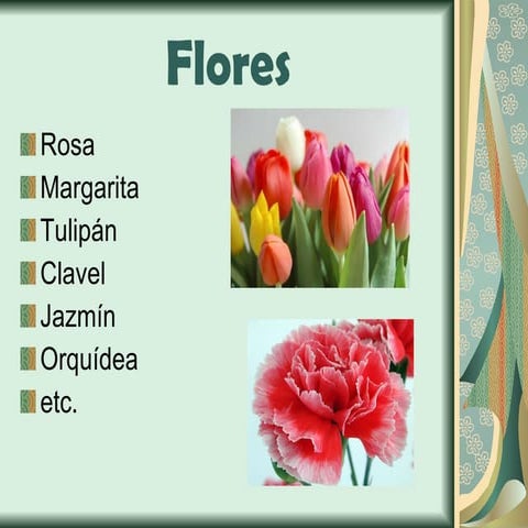 Flores | PPT