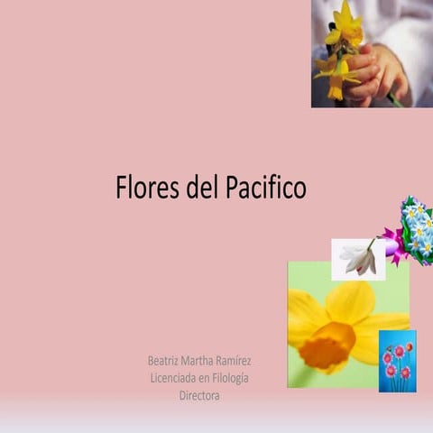 Flores del pacifico