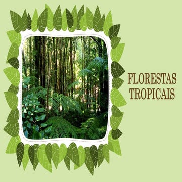 Floresta Tropical | PPTX