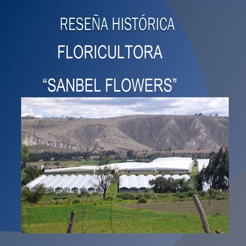 Floricola flowers | PPT