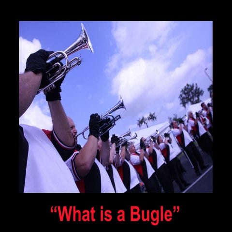 What is a Bugle? | PPT