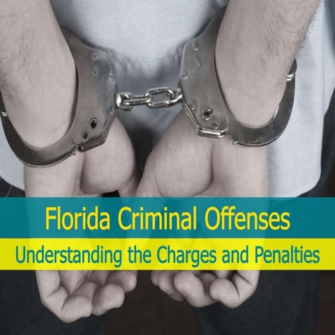 Florida Criminal Offenses | PPT