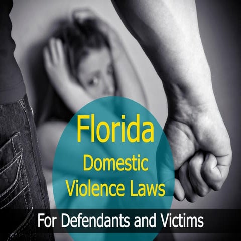Florida Domestic Violence Laws | PDF