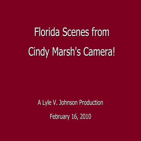 Florida Scenes! | PPS