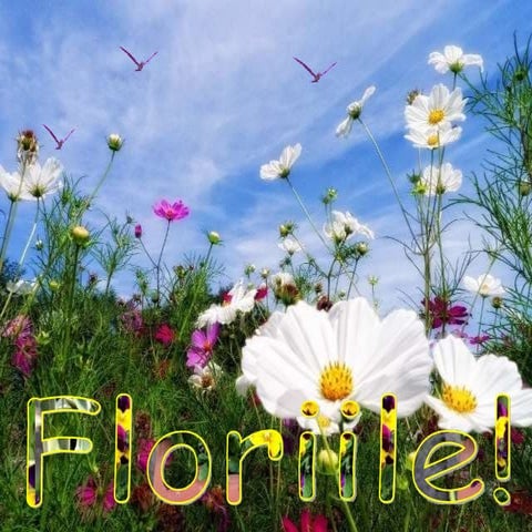 De Florii ! | PPS