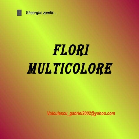 Flori Multicolore | PPS
