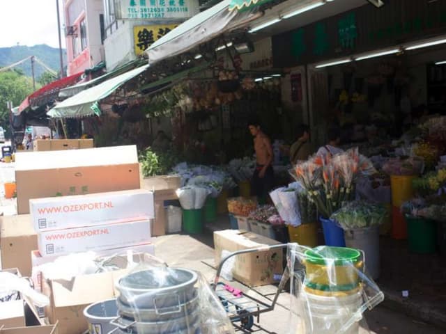 Florius flowers willum van den hoogen d | PPTX