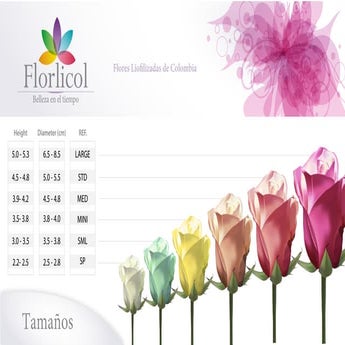 Florlicol Flores Liofilizadas de Colombia | PDF