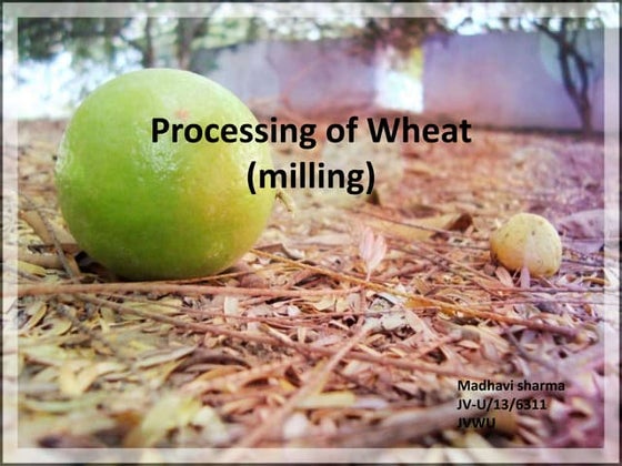 Wheat milling | PPTX