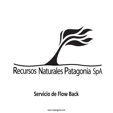 Flow back oficial | PDF