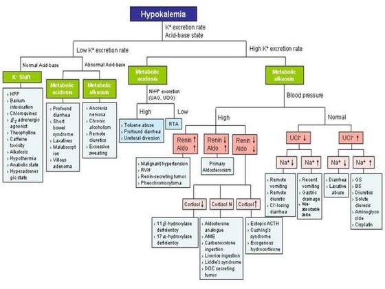 Ppt On Approach To A Case Of Hyponatremia Ppt