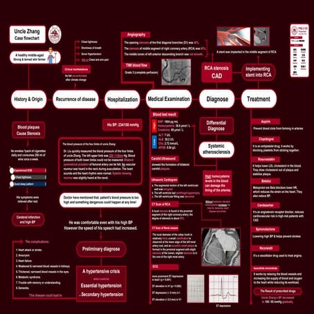 Medical Schema Chart of atherosclerosis | PDF