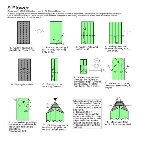 Flower | PDF