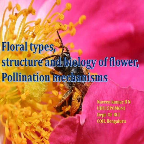 Flower structure and pollination mechanisms | PPT