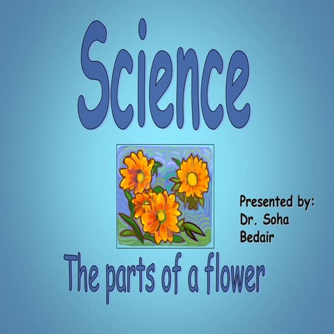 Flower | PPT