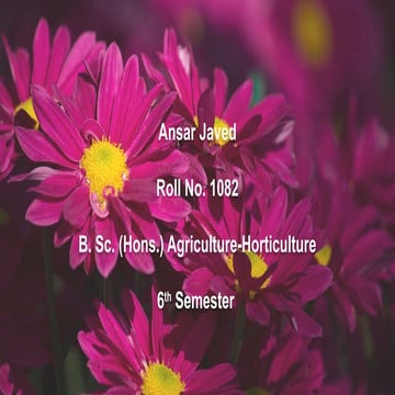 Flower production and their origin .pptx