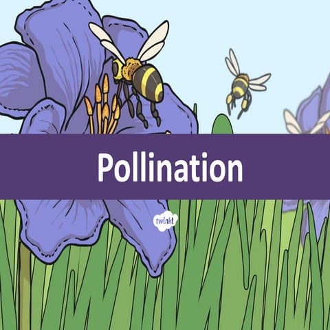 Flower pollination-task-setter-powerpoint - text-converted | PDF