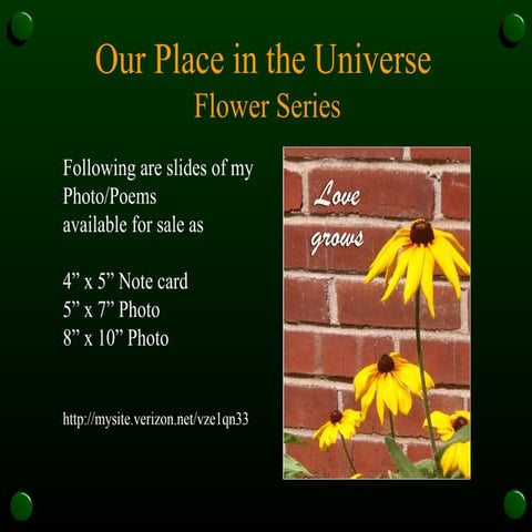 Flower Series | PPT