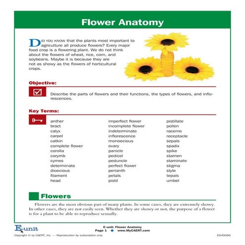 Flower anatomy | PDF