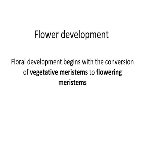 Flower development | PPT