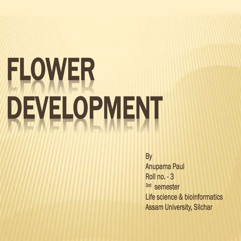 Flower development | PPTX