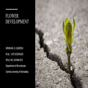 Flower development in plants | PPTX