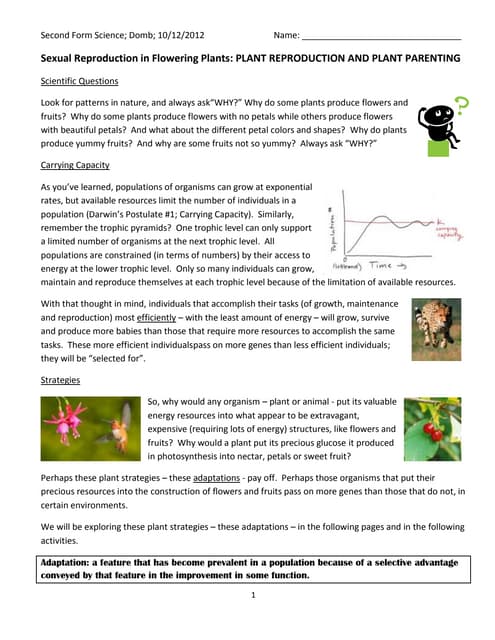 Pollination, fertilisation and germination | PPT | Infertility ...