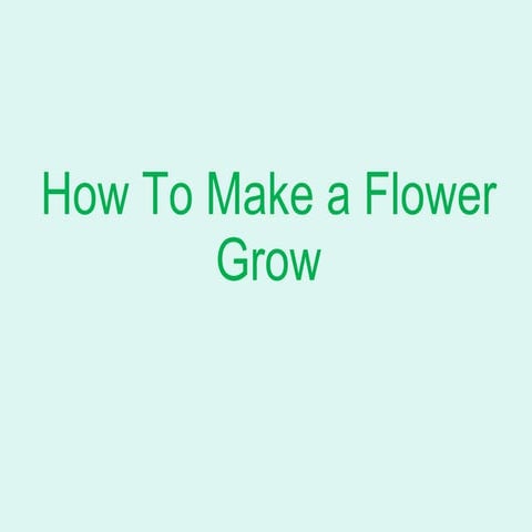 Flower grow powerpoint | PPT
