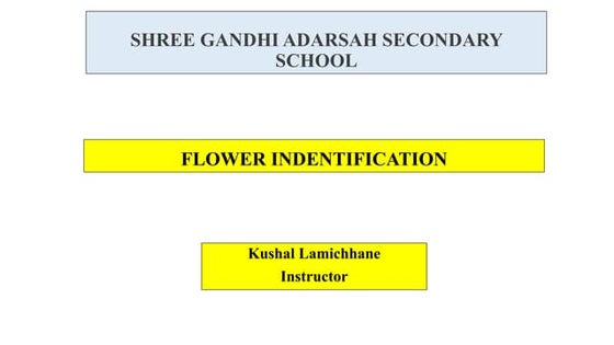 Hse alert 34 2018 safe use of cradles and exlusion zone | PDF