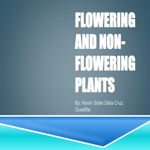 FLOWERING AND NON-FLOWERING PLANTS.pptxFLOWERING AND NON-FLOWERING ...