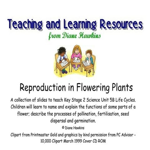 Floweringplants | PPT