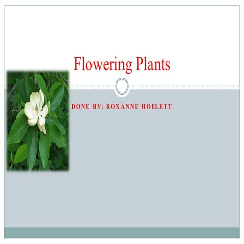 Flowering plants | PPTX