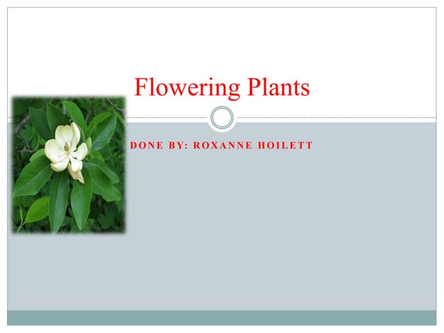 Life cycle of flowering plants | PPTX