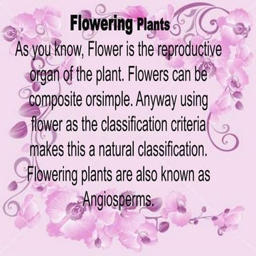Flowering plants | PPTX