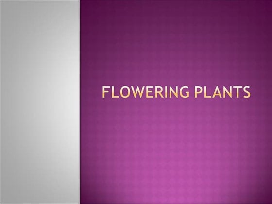Plants | PPT