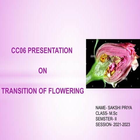 FLOWERING PROCESS- A TRANSITION FROM VEGETATIVE TO REPRODUCTIVE ORGAN.pptx