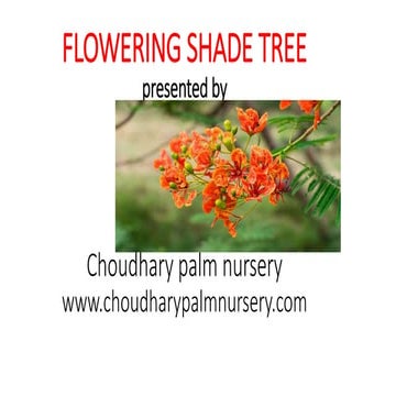 FLOWERING SHADE TREE.CHAMPA,GULMOHAR ,AMALTASH PLANTS | PPTX
