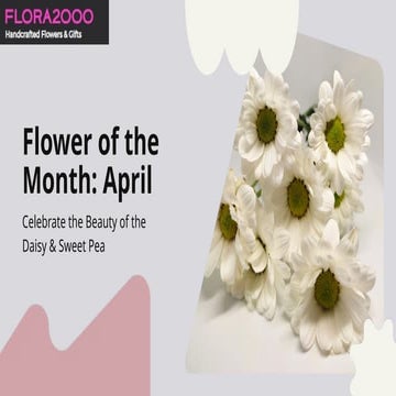Celebrate April with Daisy and Sweet Pea – Flowers of the Month | PPTX