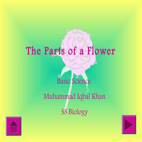Flower parts | PPT